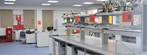 Al-Bayan International School